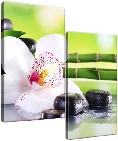 Tištěný obraz Bílá orchidej a kameny 60x60cm 1995A_2A