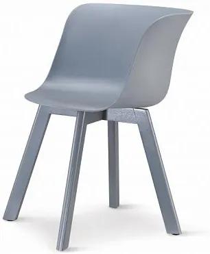 Jídelní židle LEVIN, plast/dřevo buk, šedá/šedá