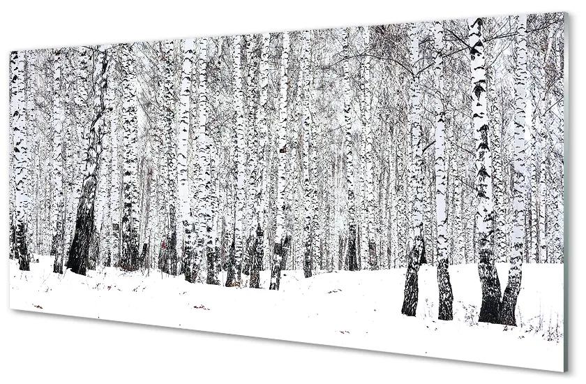 akrylový obraz Zimní břízy 125x50 cm