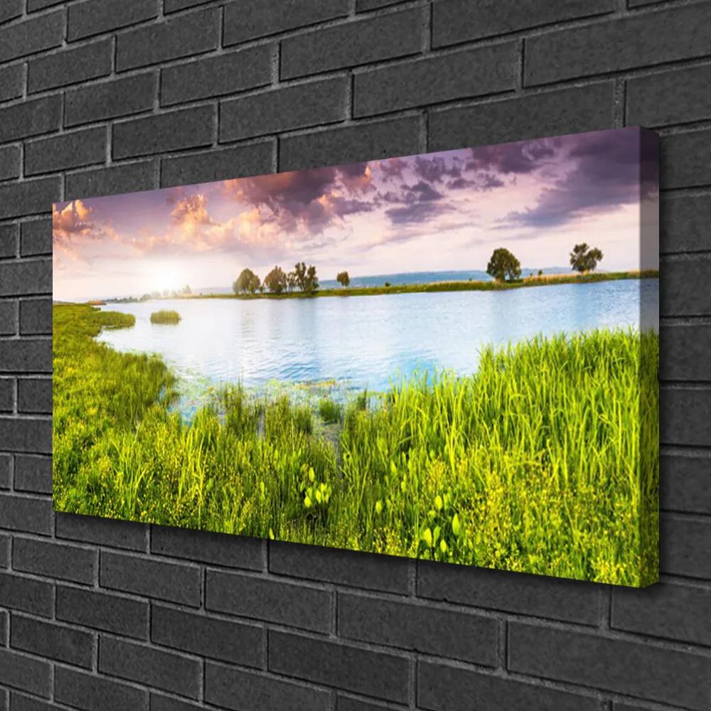 Obraz na plátně Tráva Jezero Příroda 100x50 cm