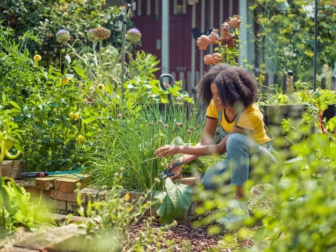 © 2024 - 2025 GARDENA Zahradní nůžky ExpertCut