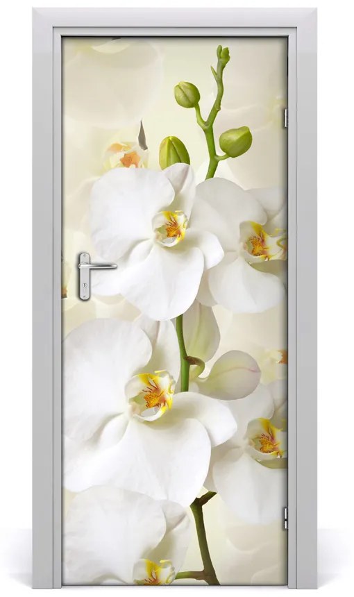 Fototapeta na dveře Bílá orchidej 75x205 cm