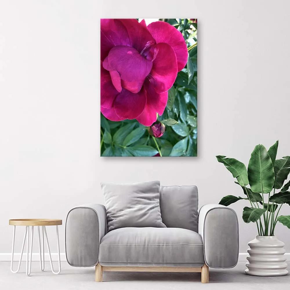 Gario Obraz na plátně Velký růžový květ Rozměry: 40 x 60 cm