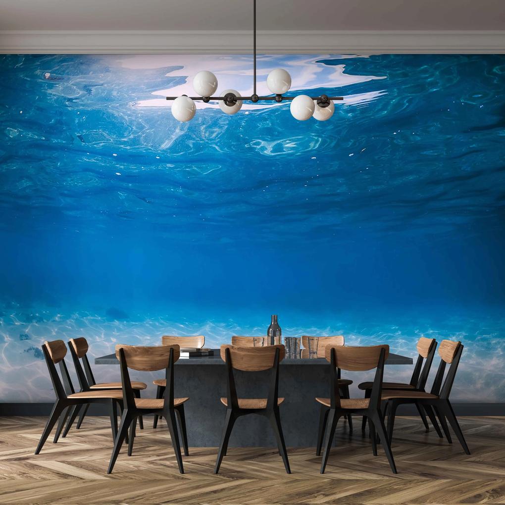 Malvis ® Tapeta v hlubinách moře Vel. (šířka x výška): 432 x 290 cm