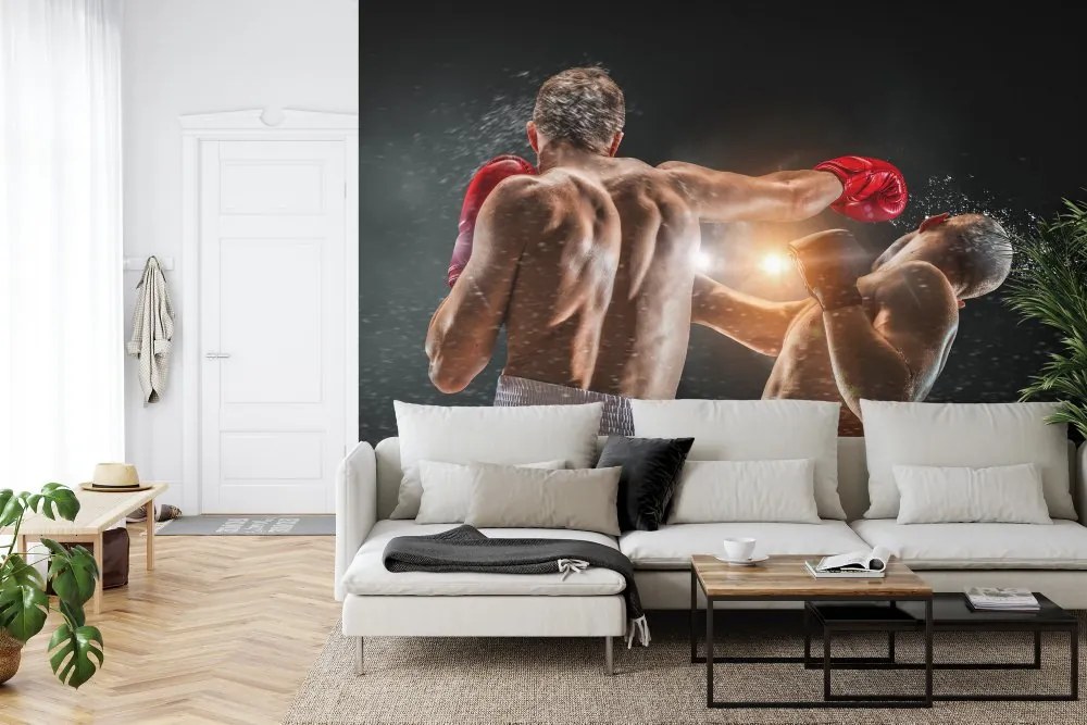 Fototapeta Boj Boxerů Omyvatelný vlies 90x60