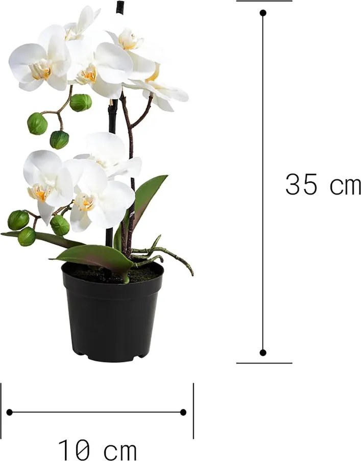 Butlers FLORISTA Orchidej v květináči 35 cm - bílá