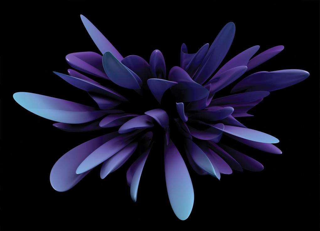 Malvis ® Tapeta Abstraktní tvar květu Vel. (šířka x výška): 216 x 140 cm