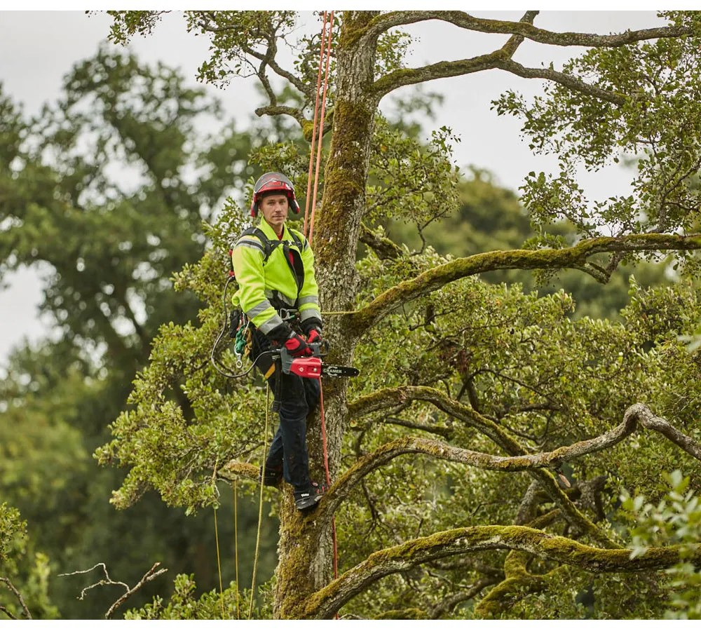 Akumulátorová řetězová pila CRAMER 82TCS15 (Dodáváno bez baterie a nabíječky)