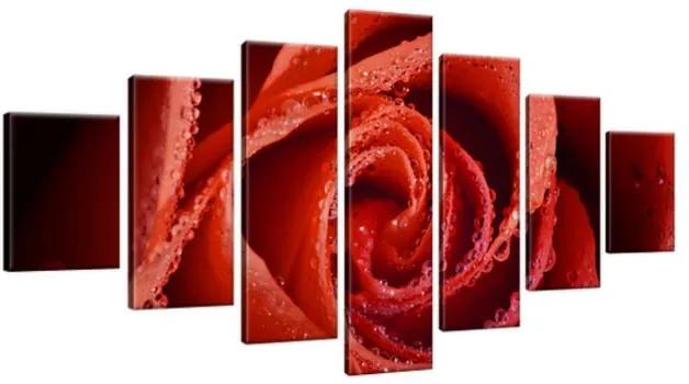 Tištěný obraz Silná červená růže 210x100cm 1747A_7A