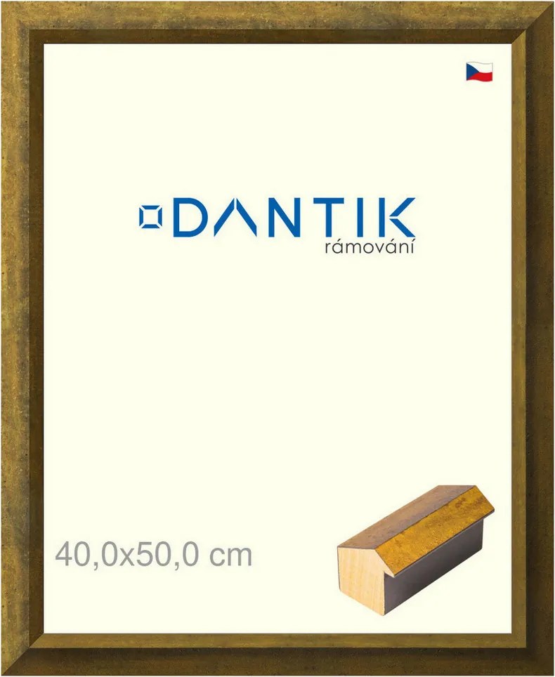 DANTIK rámeček 40x50 | Forgia Gold (Plexi Čiré)