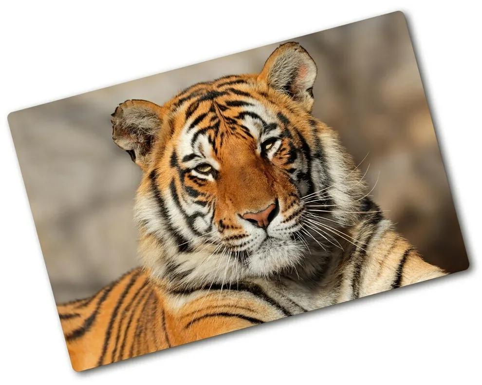 Wallmuralia Kuchyňská deska skleněná Bengálský tygr 80x52 cm
