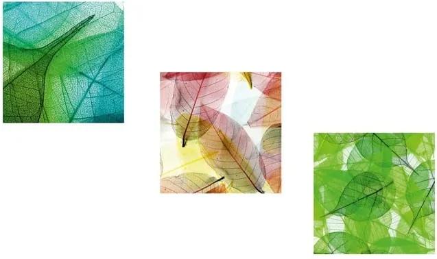 Sada 3 obrazů Wall Framework Tropical Leafes