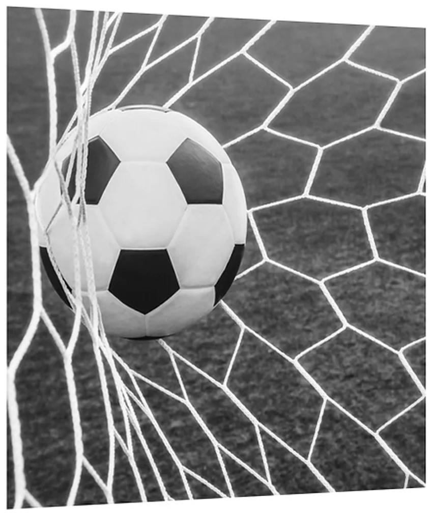 Fotbalový míč v síti (30x30 cm)