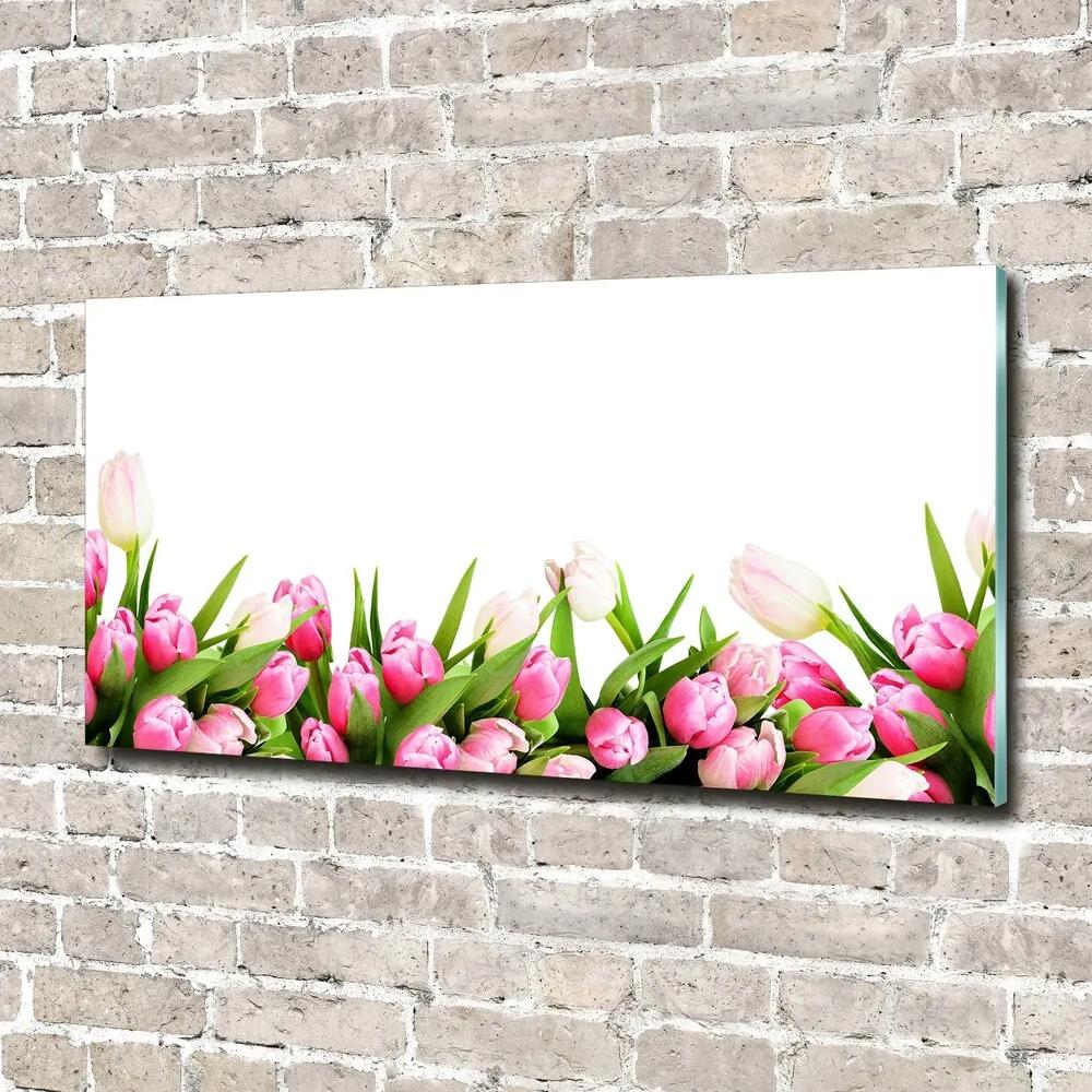 Wallmuralia Foto obraz sklo tvrzené Růžové tulipány 140x70 cm