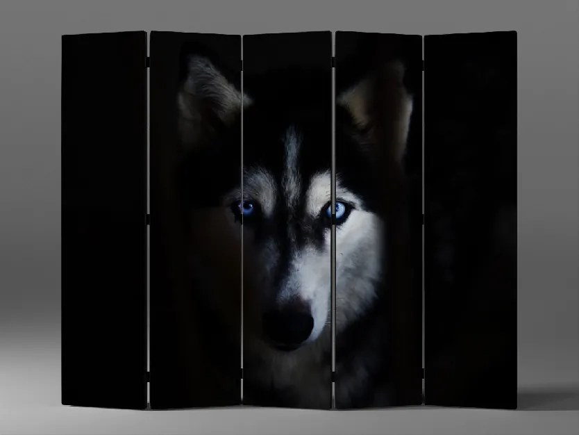 Paraván pes husky Rozměr: 225 x 180 cm