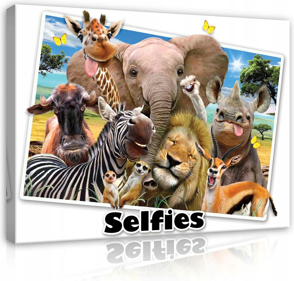Obraz 100x75 Selfie zvířata Afrika safari žirafa slon lev zebra humor