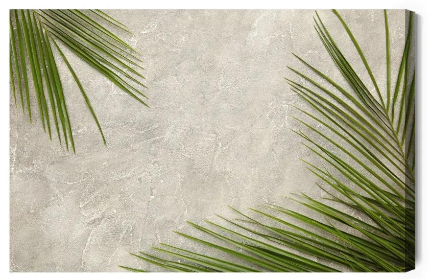 Obraz Palmové Listy Na Betonovém Pozadí Nedostatek Nedostatek Přírodní plátno 100x70