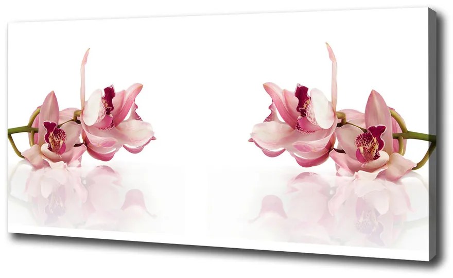 Wallmuralia Foto obraz na plátně do obýváku Orchidej 100x50 cm