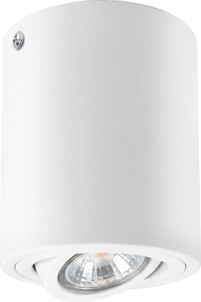 Toolight Toolight, stropní bodové svítidlo 1xGU10, JNH027-1C, bílá, OSW-56213