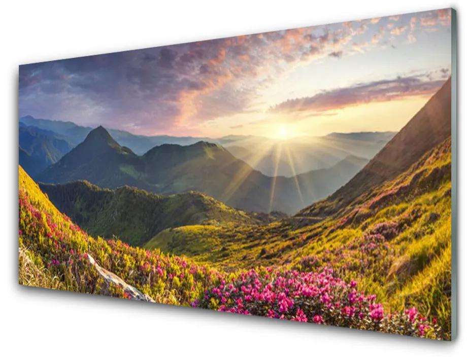 Obraz na skle Hora Louka Slunce Krajina 100x50 cm