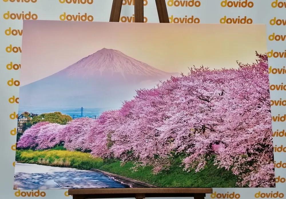 Obraz japonska sopka Fuji - 60x40 cm