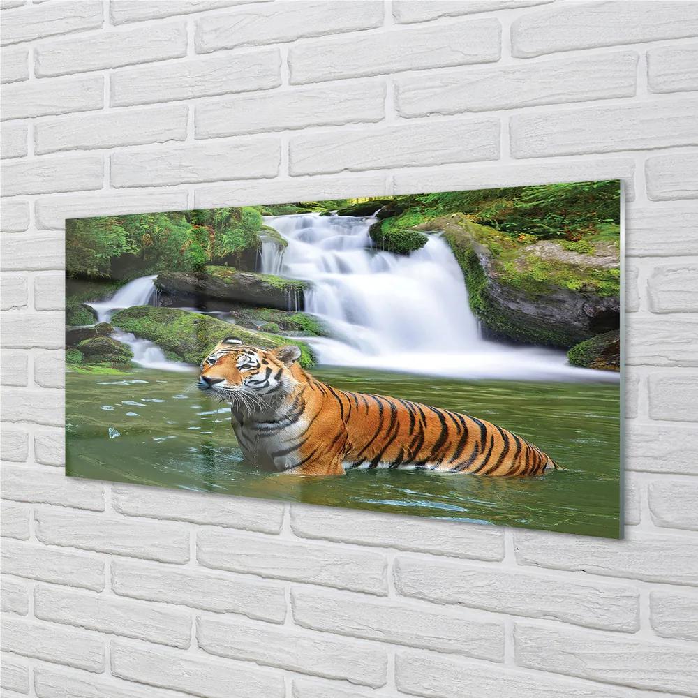 akrylový obraz tygr vodopád 140x70 cm