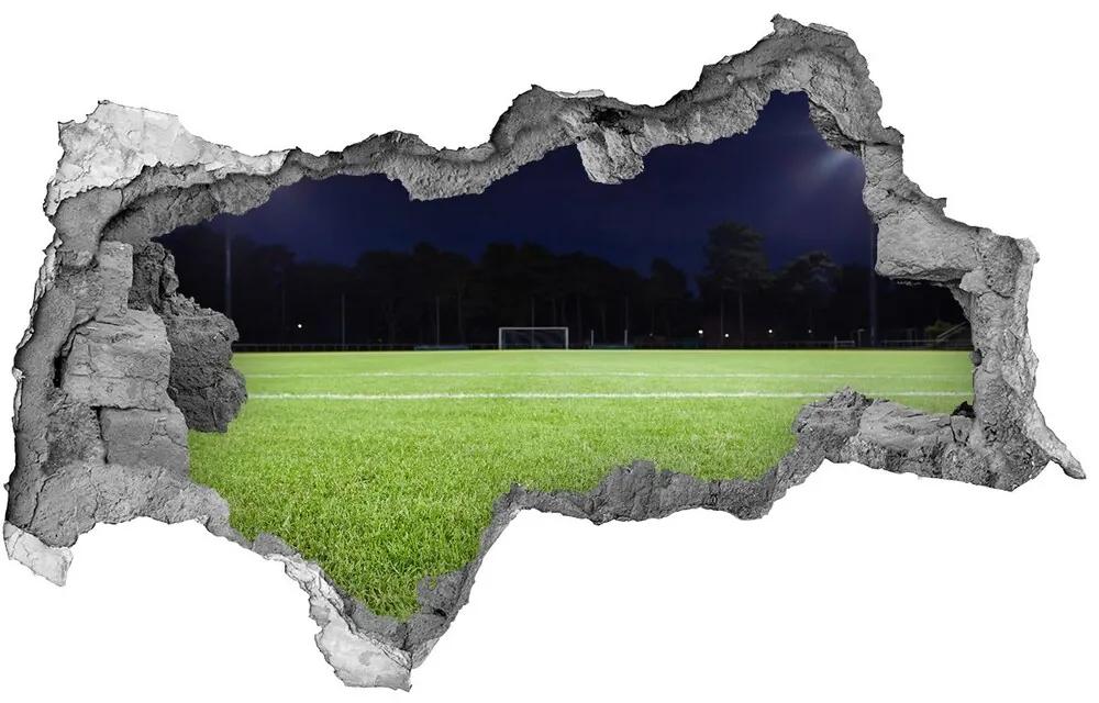 Wallmuralia Fototapeta díra na zeď 3D Fotbalové hřiště 95x73 cm