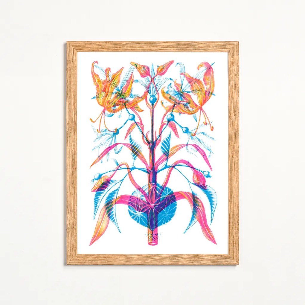 Filip Šenkeřík | Hybrid II – Lilencyclia Liliaceum Rám: Černý, Velikost: 70 x 50 cm