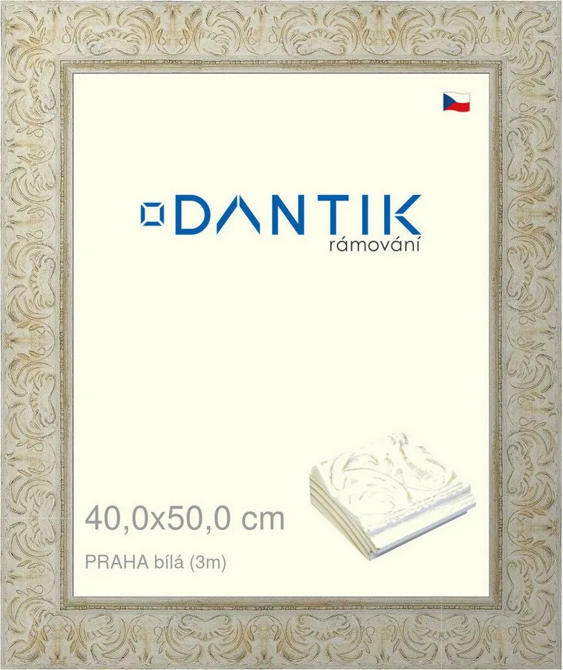 DANTIK rámeček 40x50 | PRAHA Bílá (Sklo Čiré)