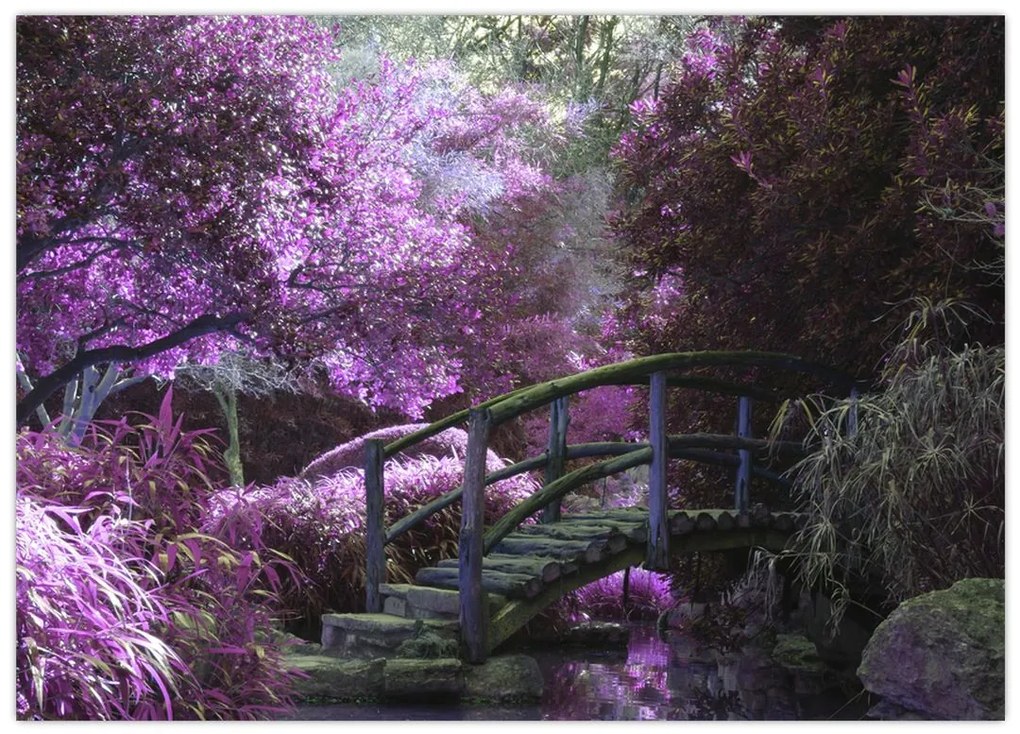 Skleněný obraz - fialové stromy (70x50 cm)