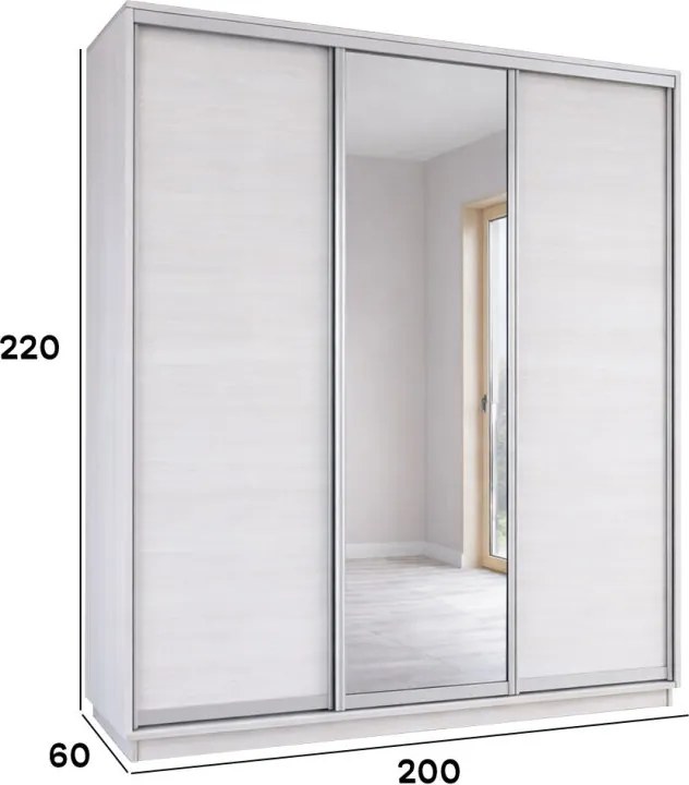Skříň s posuvnými dveřmi 2000x2200x600 2LTD 1 Zrcadlo Nymphea Alba, profil stříbrný