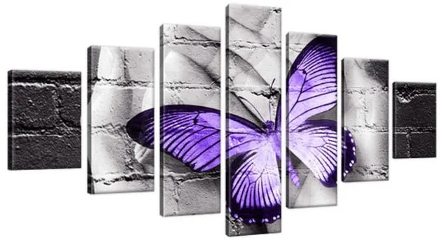 Obraz na plátně Fialový motýl na dlaních 210x100cm 2389A_7A