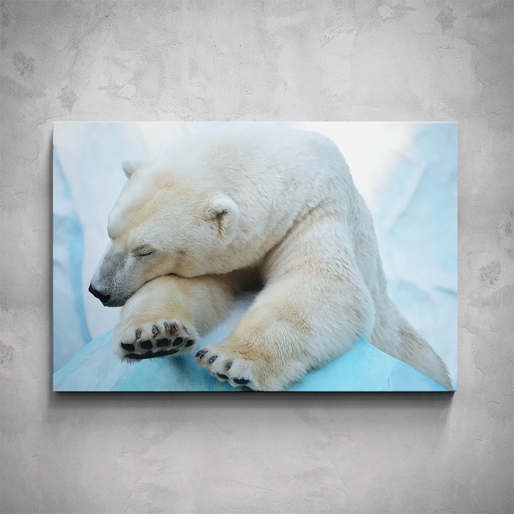Obraz - Lední medvěd - PopyDesign