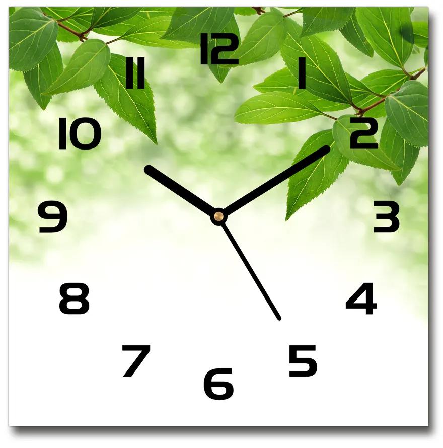 Wallmuralia Skleněné hodiny čtverec Zelená listí 30x30 cm