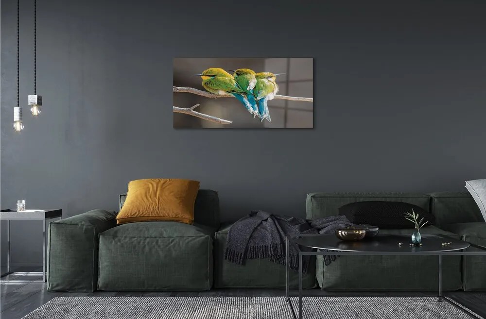 Obraz na skle Ptáci na větvi 125x50 cm