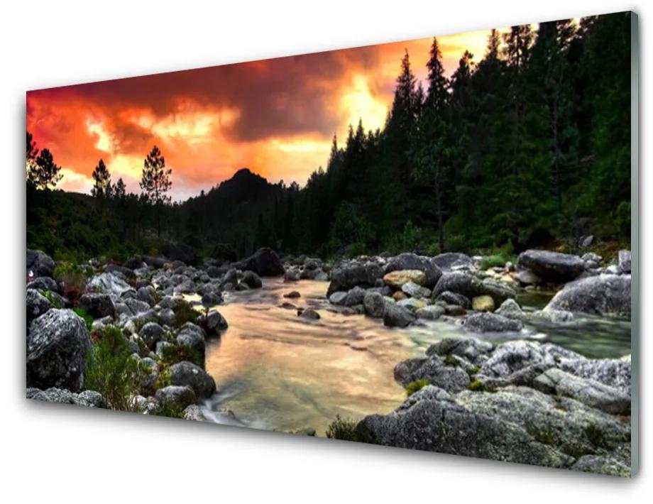 Obraz na skle Jezero Kameny Les Příroda 140x70 cm