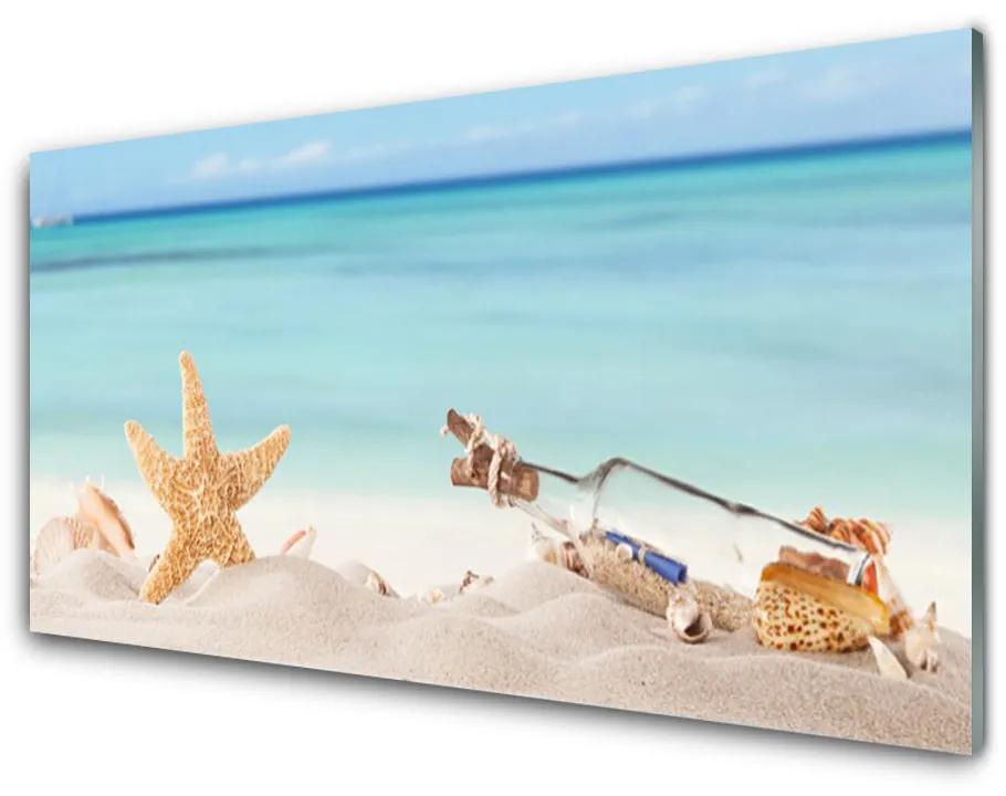 Obraz na skle Hvězdice Mušle Pláž 140x70 cm