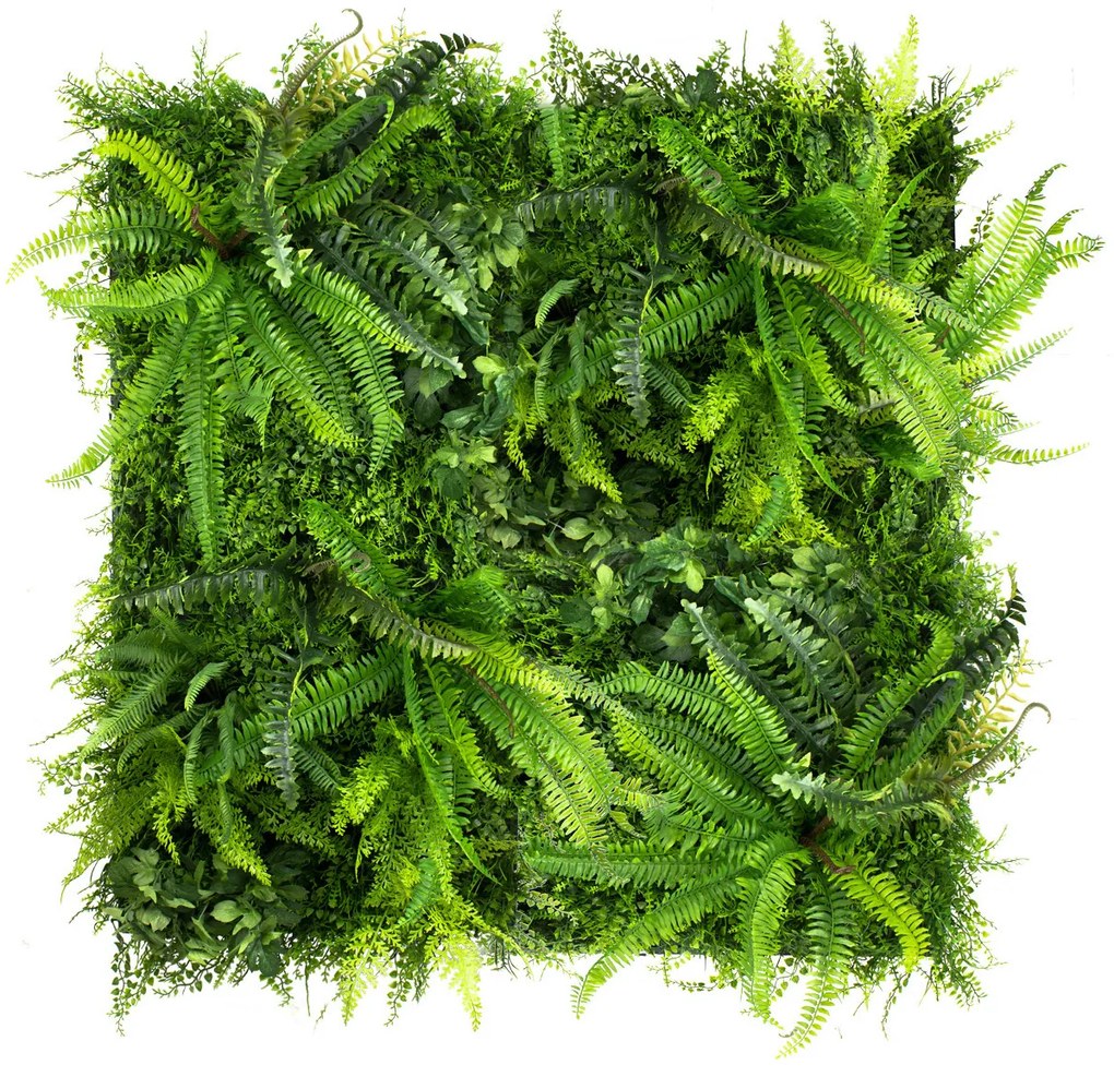 Vertikální zahrada Wild Fern 50x100