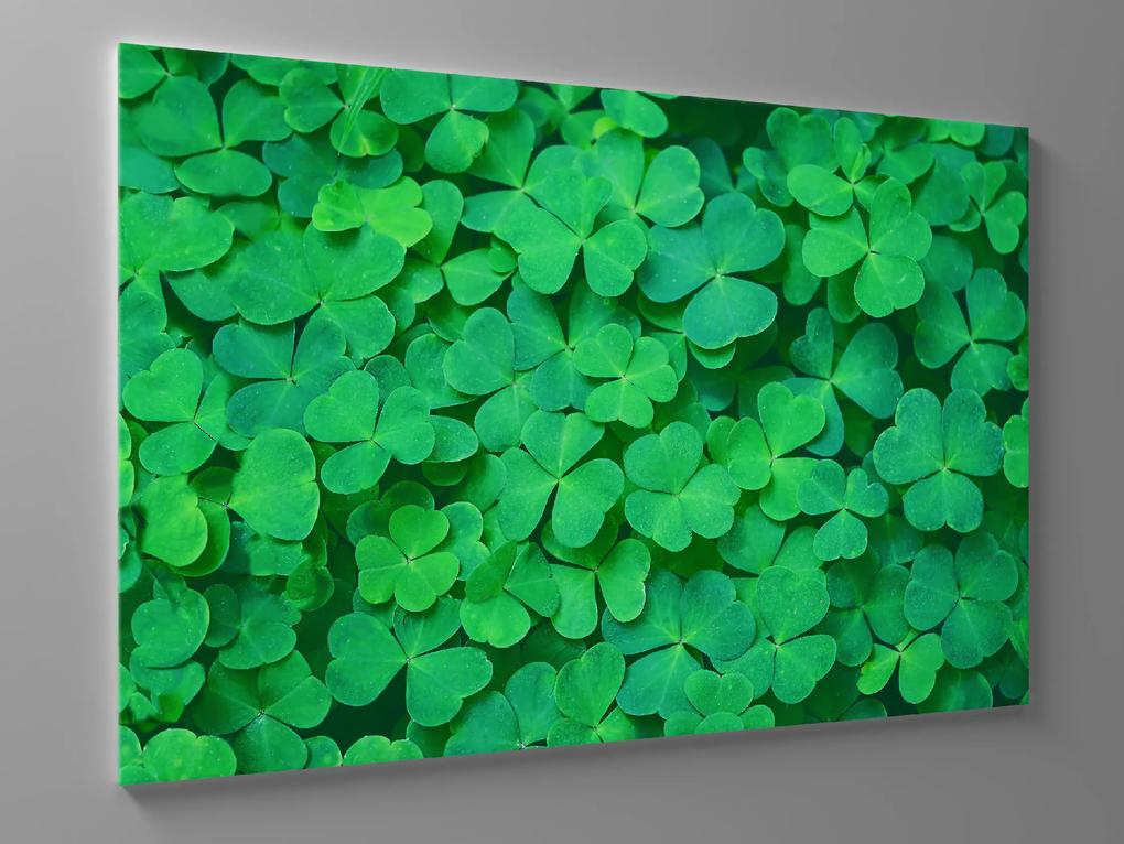 Liox Obraz zelený trojlístek Rozměr: 150 x 100 cm