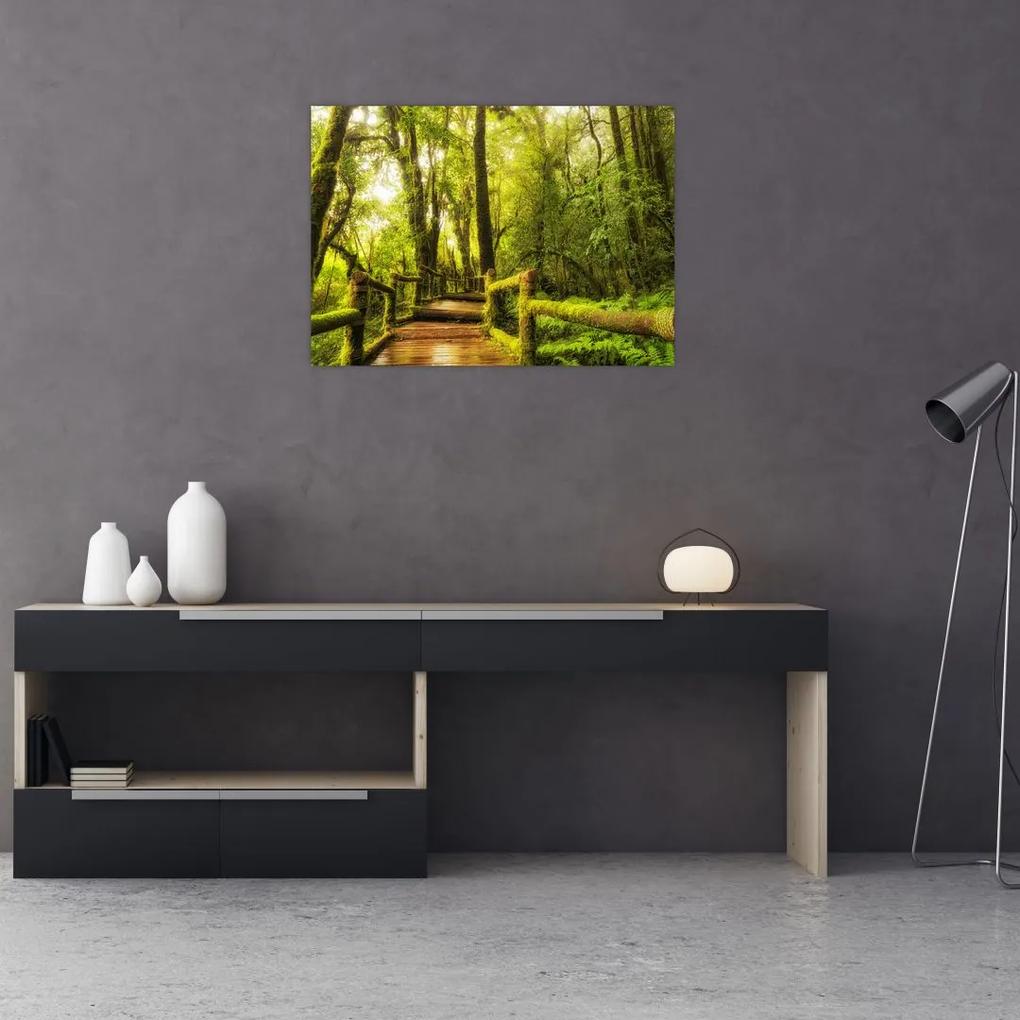 Skleněný obraz mechové džungle (70x50 cm)