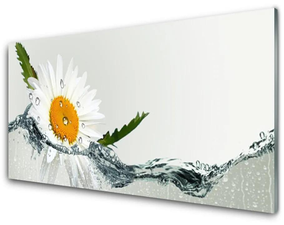 Obraz na skle Sedmikráska ve Vodě 125x50 cm