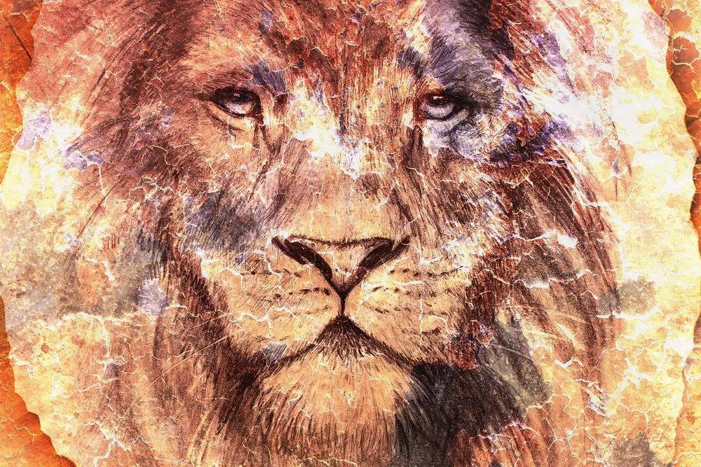 Obraz tvář lva Varianta: 120x80