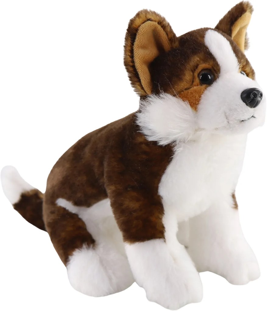 Norský Lundehund 19 cm