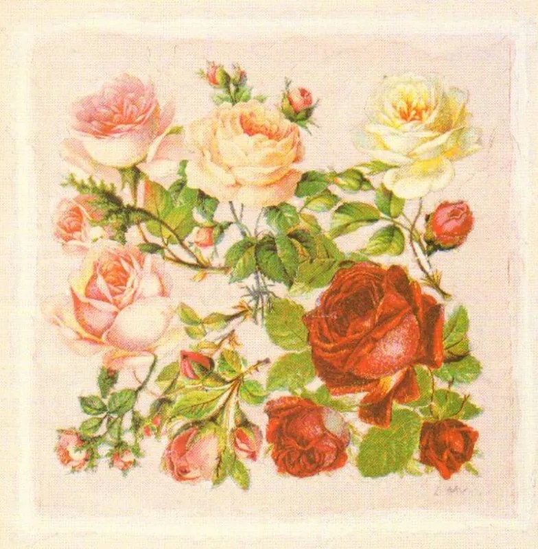 ART-STYLE Obrázek 20x20, houština růží IV., rám bílý s patinou