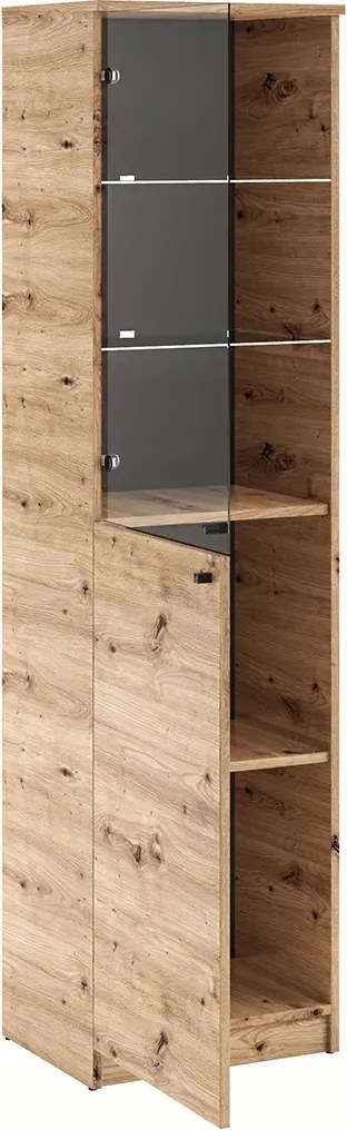 ADRK Furniture Vitrína Evi II s LED osvětlením ADRK-SHC-EVI-50-ART-L
