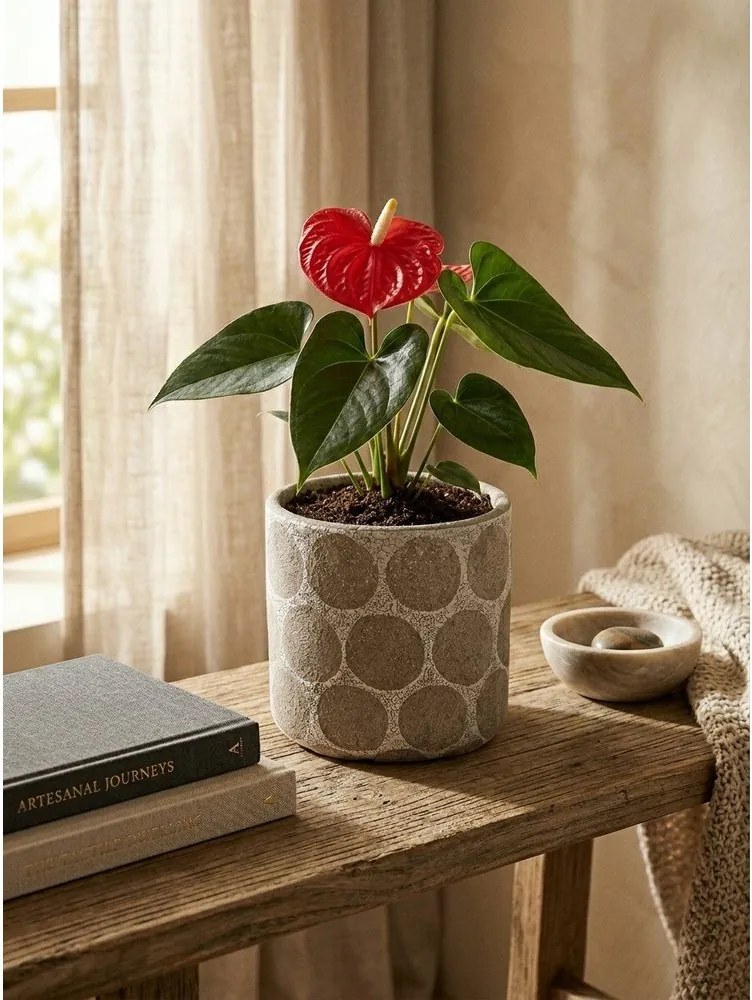 Ručně vyrobený obal na květináč z terakoty ø 12 cm Felan – Bloomingville