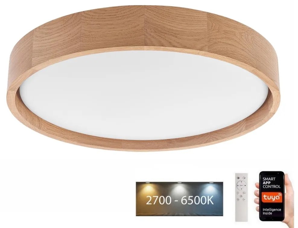 Brilagi Brilagi - LED Stropní svítidlo MANAROLA SMART LED/24W/230V + DO Tuya BG0483