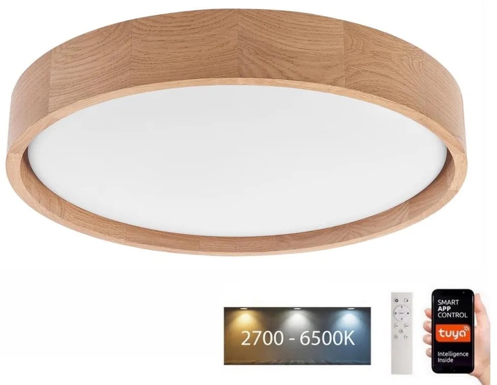 Brilagi - LED Stropní svítidlo MANAROLA SMART LED/24W/230V + DO Tuya