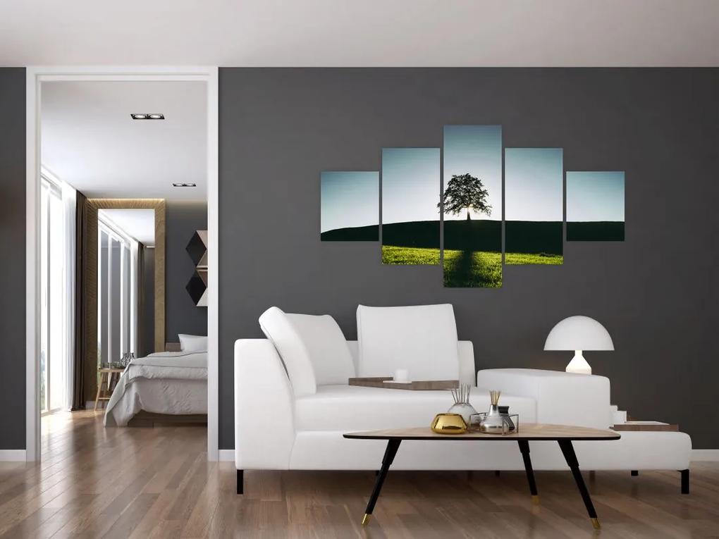 Obraz přírody - strom (125x70 cm)