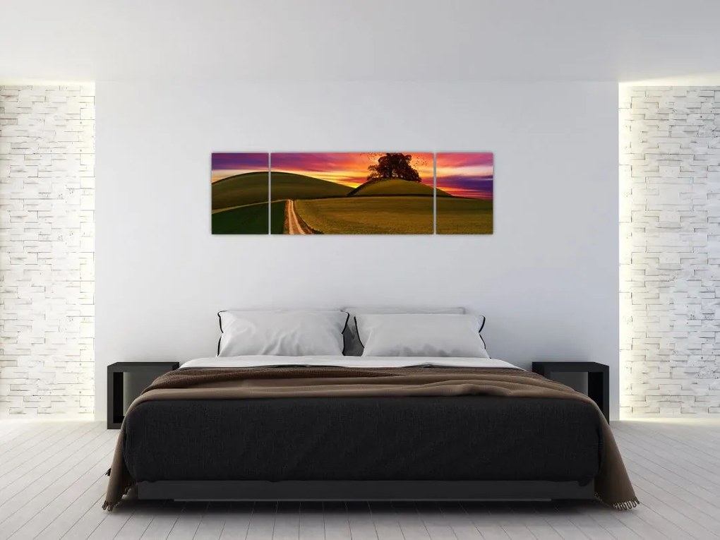 Obraz pole a barevného nebe (170x50 cm)